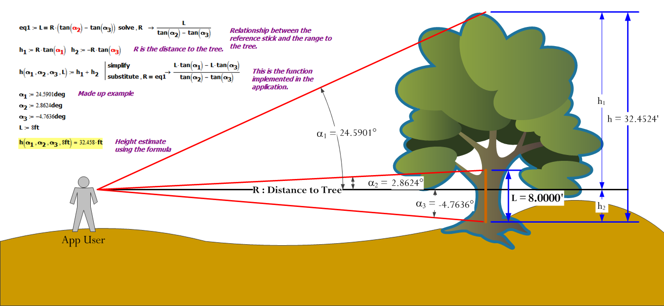 Tree Height Measuring Example Math Encounters Blog