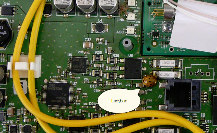 I am Battling Ladybugs This Year | Math Encounters Blog